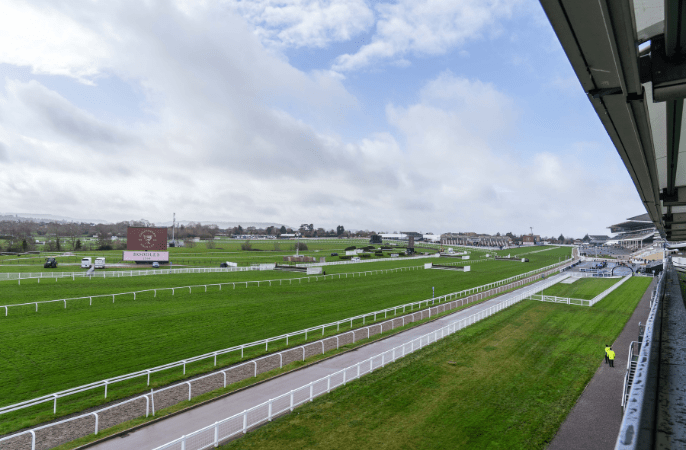 Cheltenham Festival 2026: Race Card And Preview | Corinthian Sports