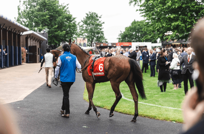 Epsom Derby 2026 Changes Announced | Corinthian Sports